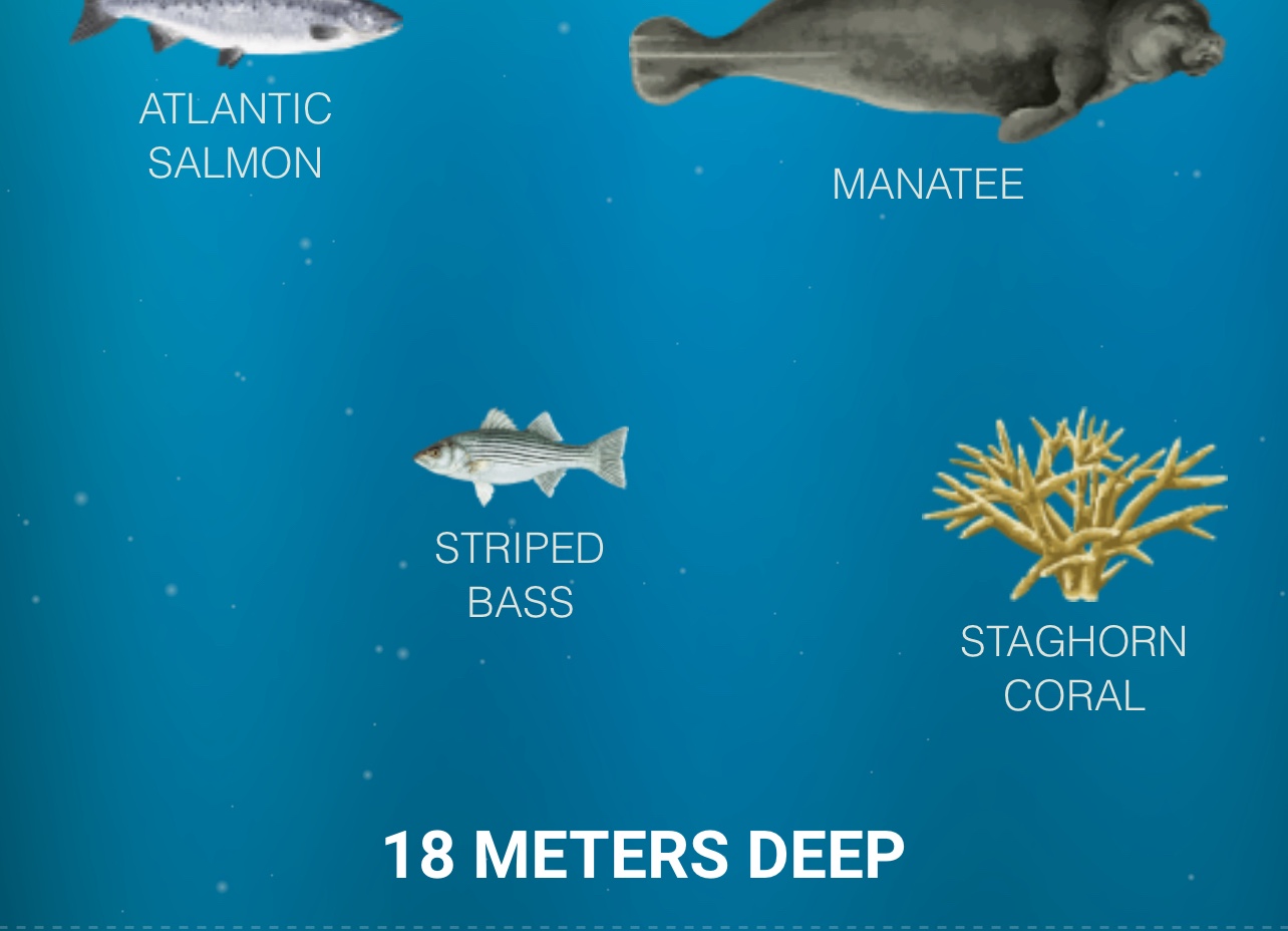 Click here to scroll the ocean depth - you won’t regret it - The Space Coast Rocket