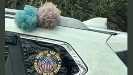 Has “loofa code” infiltrated Brevard? - The Space Coast Rocket