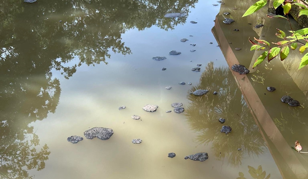 Over 1 Million Gallons of Sewage Spilled - Cause Revealed by City - The ...