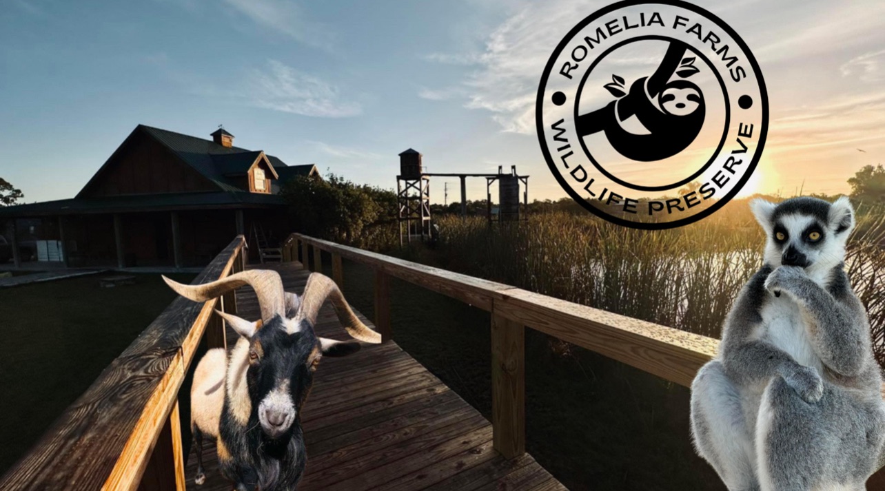 Romelia Farms Wildlife Preserve Faces Closure Amid Financial and ...