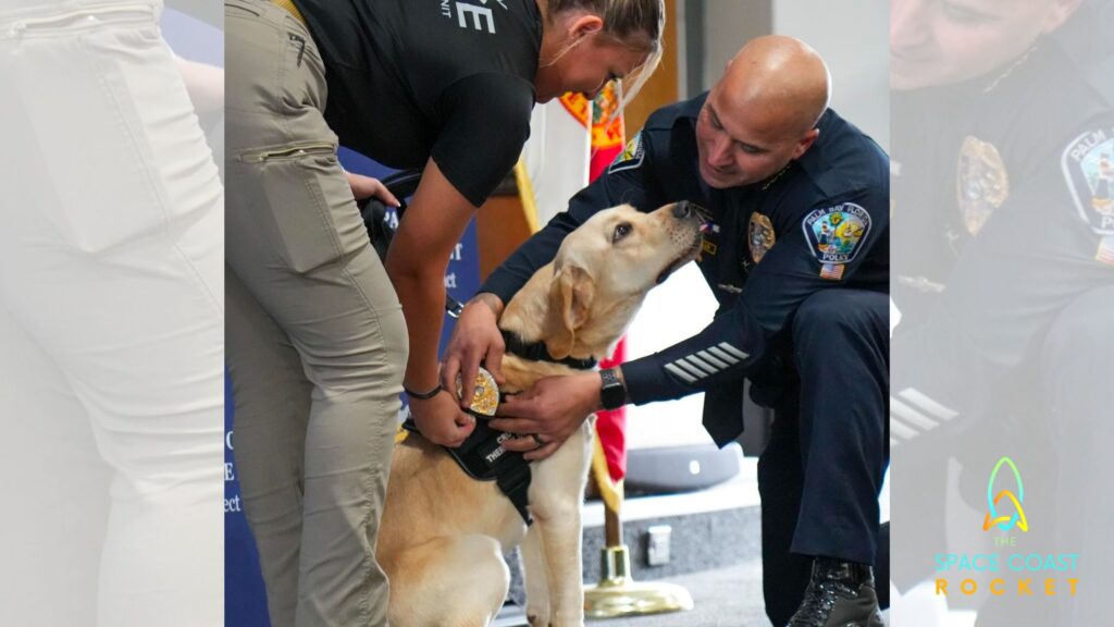 Palm Bay Police Chief Augello swears in first ever Therapy K9, Toby ...