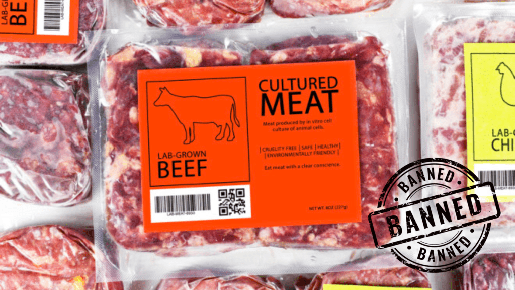 Ban Appetit: Rep. Sirois files bill to outlaw Cultivated Meat - The ...