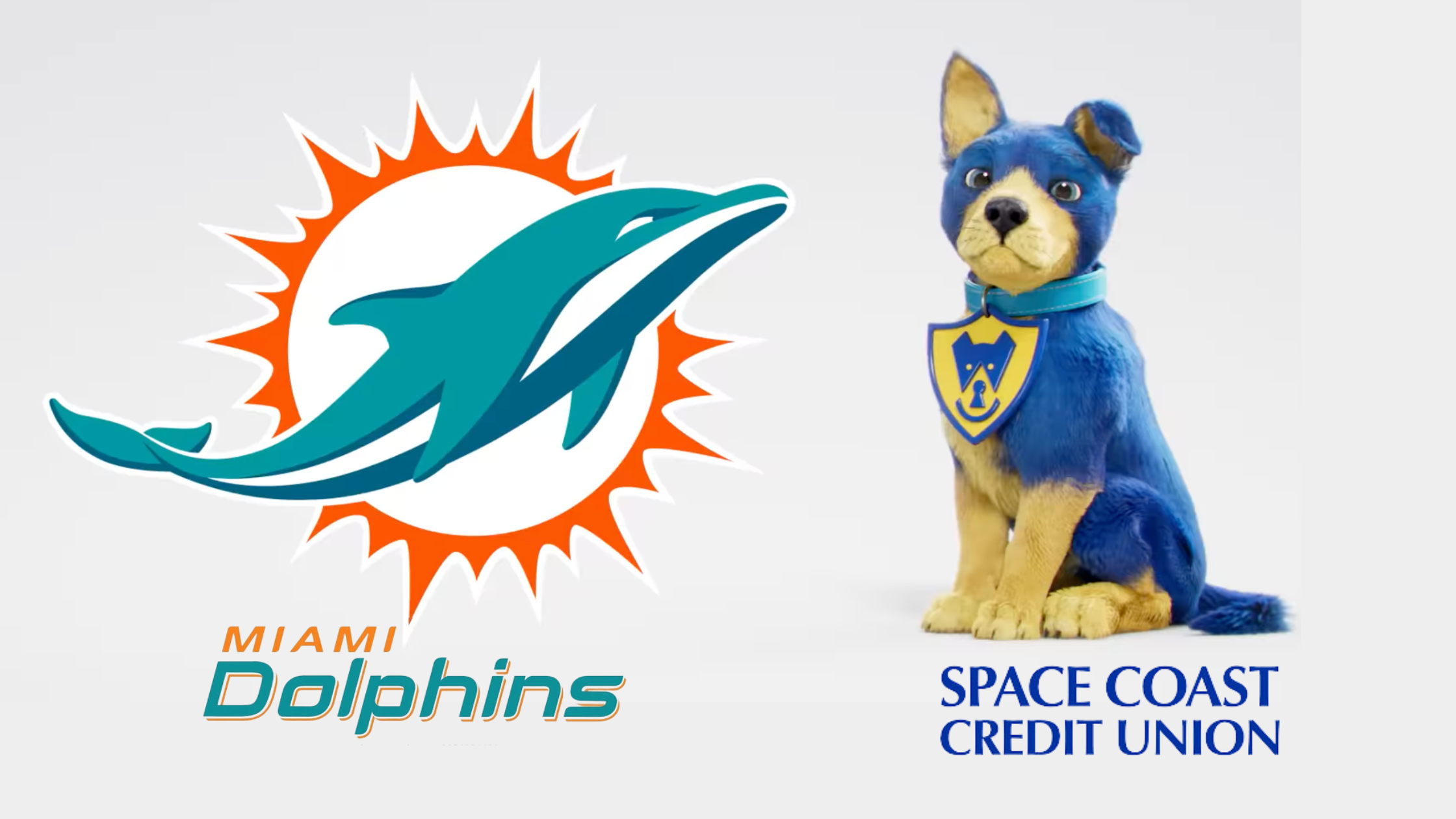 Space Coast Credit Union announces partnership with the Miami Dolphins ...