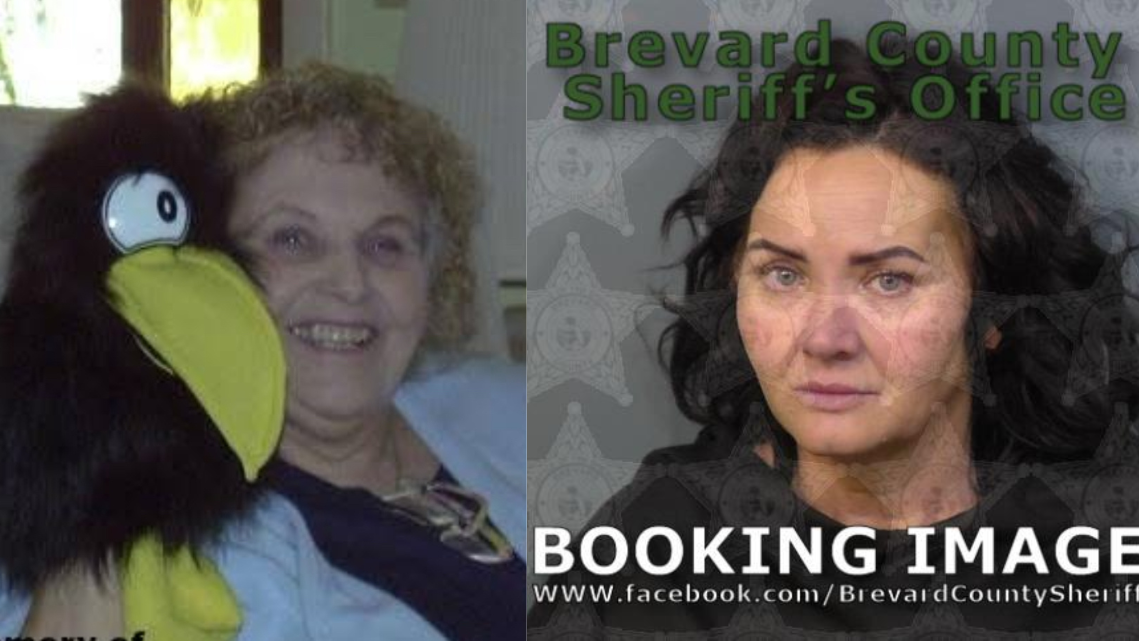 Roofing Company Thief Stole Life Savings of Bedridden 78-Year-Old Woman ...