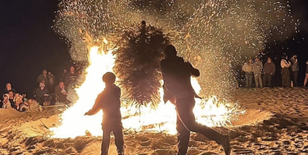 Questions Raised Over Environmental Impact of Large Christmas Tree ...